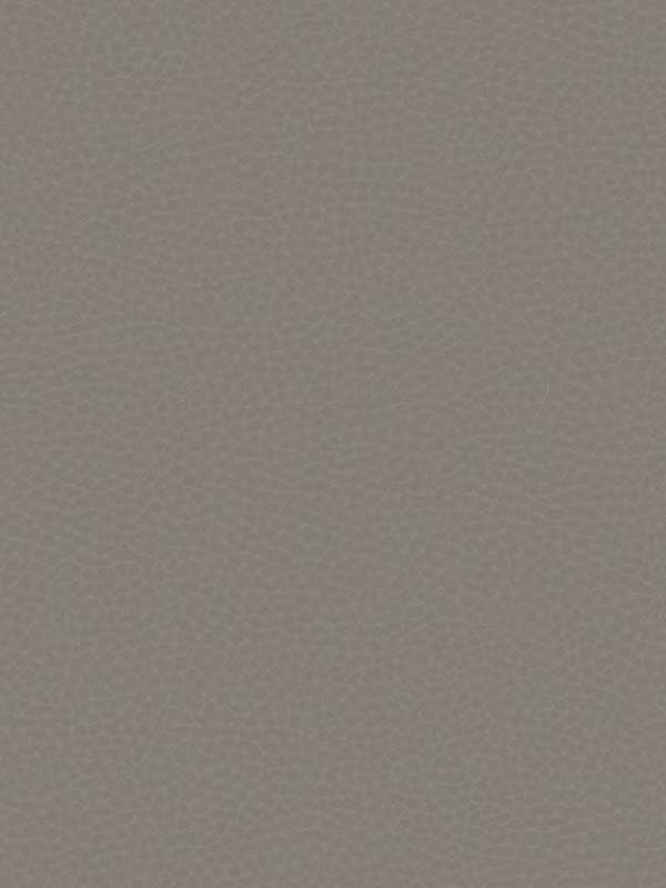 Queenswood Iron CR83018 Wallpaper by Carl Robinson - Wallpapers To Go