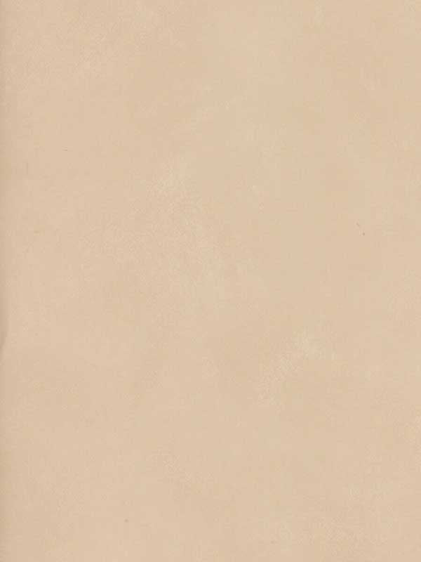 Japan Flax AMW10059.111.0 Wallpaper by Andrew Martin - Wallpapers To Go