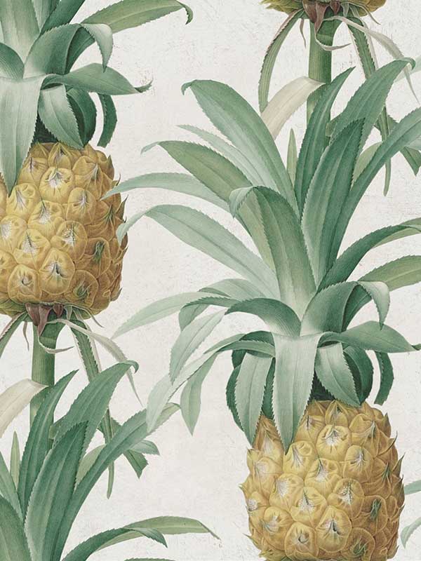 Ananas Green Brown Sepia WP20090 Wallpaper by Mind the Gap - Wallpapers ...