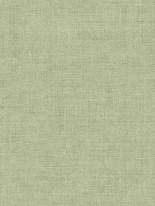 Vava Varlov Light Green MB16038 Wallpaper by York - Wallpapers To Go