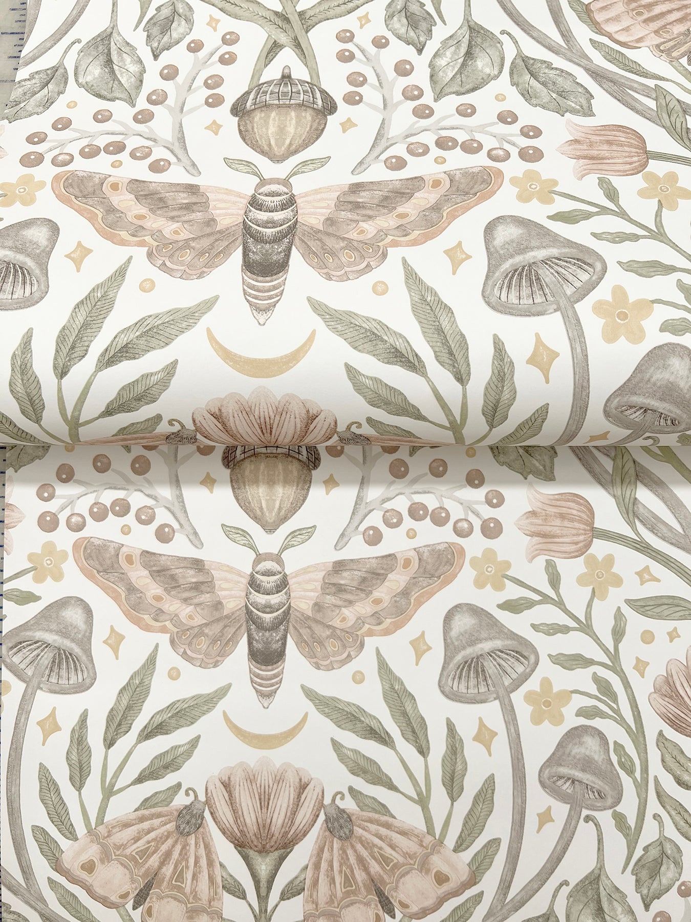 Mystic Moth Blush 4169-83119 Wallpaper by Chesapeake - Wallpapers To Go