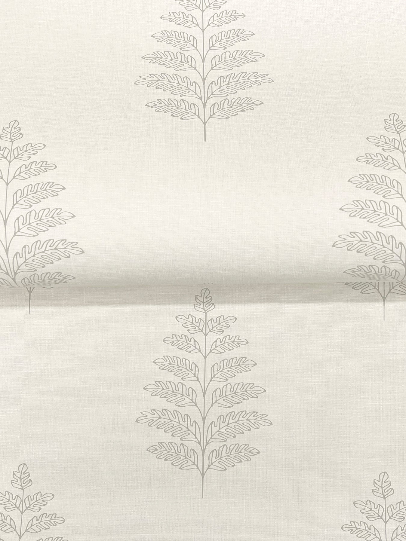 Frond Cream 4169-83125 Wallpaper by Chesapeake - Wallpapers To Go