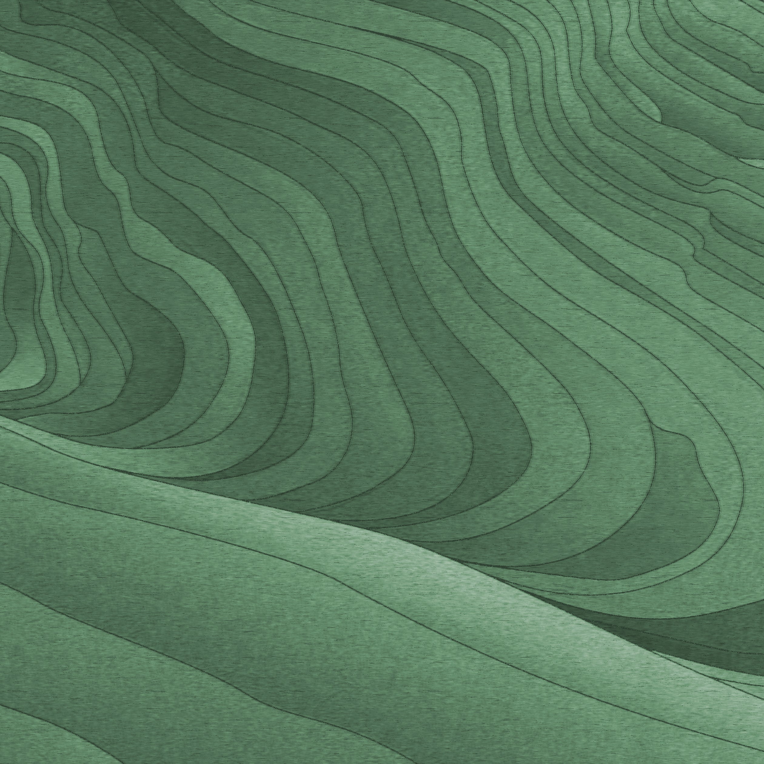 Tennyson 5 Panel Green 9962 Mural by Armani Casa - Wallpapers To Go