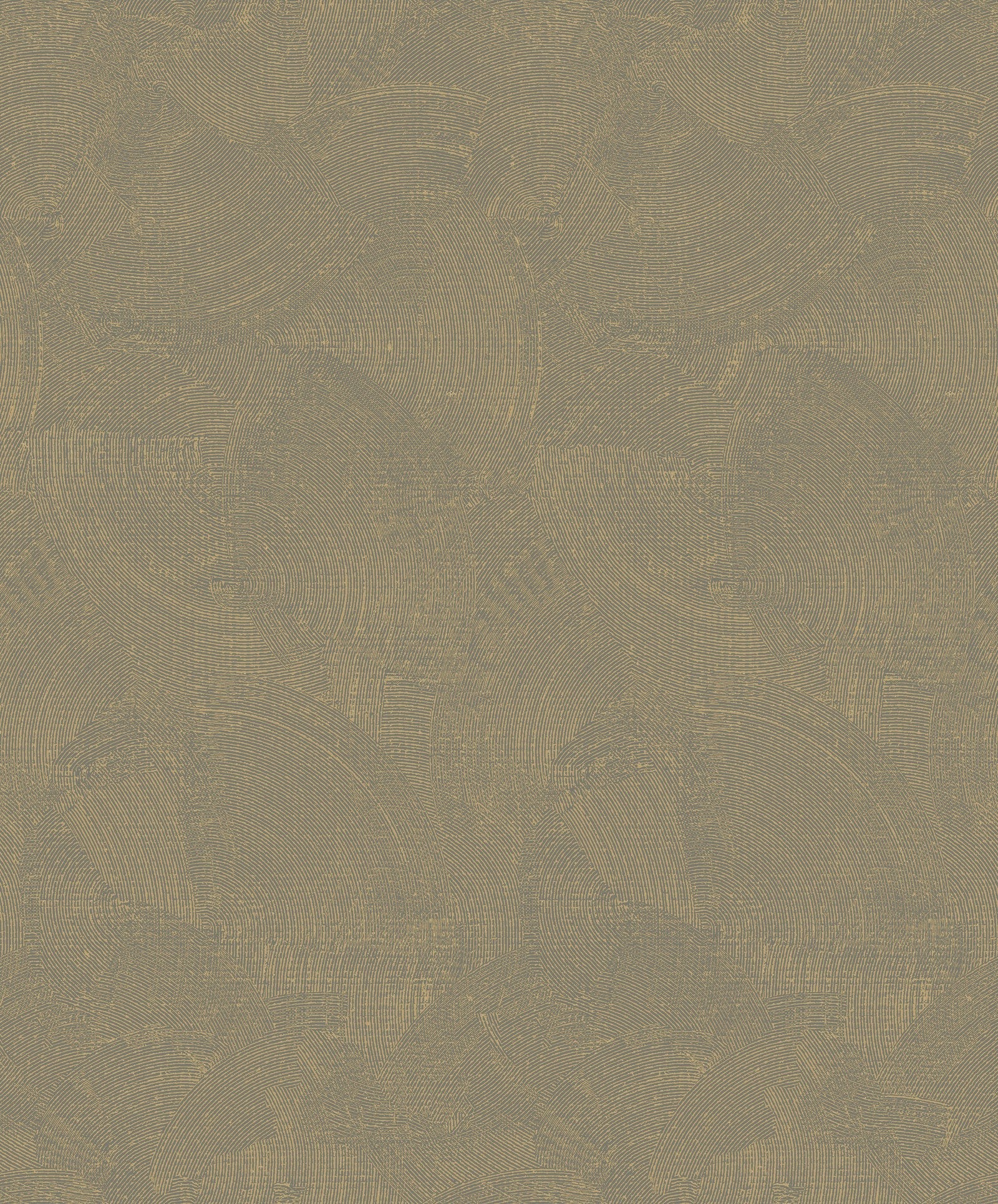 Plaster Fan Gold DWP0366-02 Wallpaper by Galerie - Wallpapers To Go