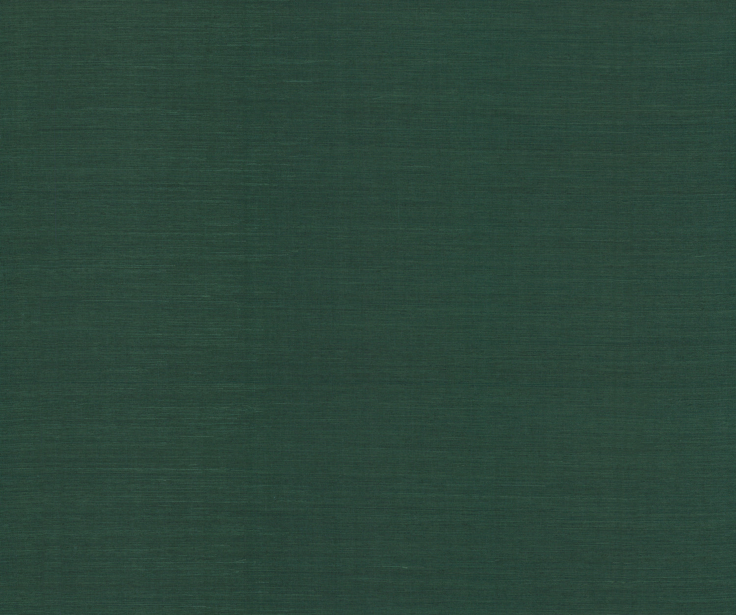 Maguey Sisal Eden GRL88302 Wallpaper by Ronald Redding - Wallpapers To Go