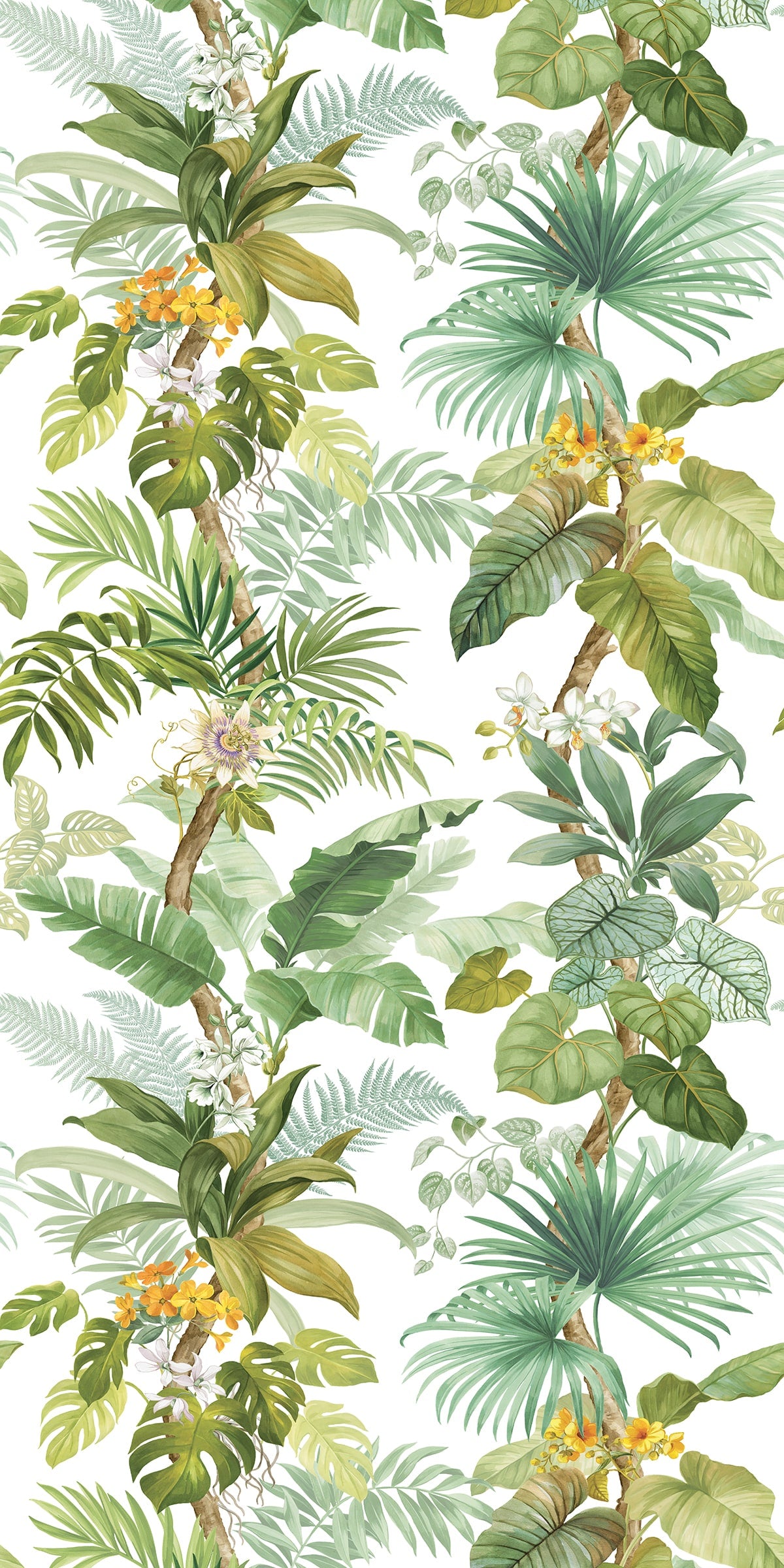 Tropical Leaf Trail Peel and Stick 2 Panel Greenery HG12304M Mural by NextWall - Wallpapers To Go
