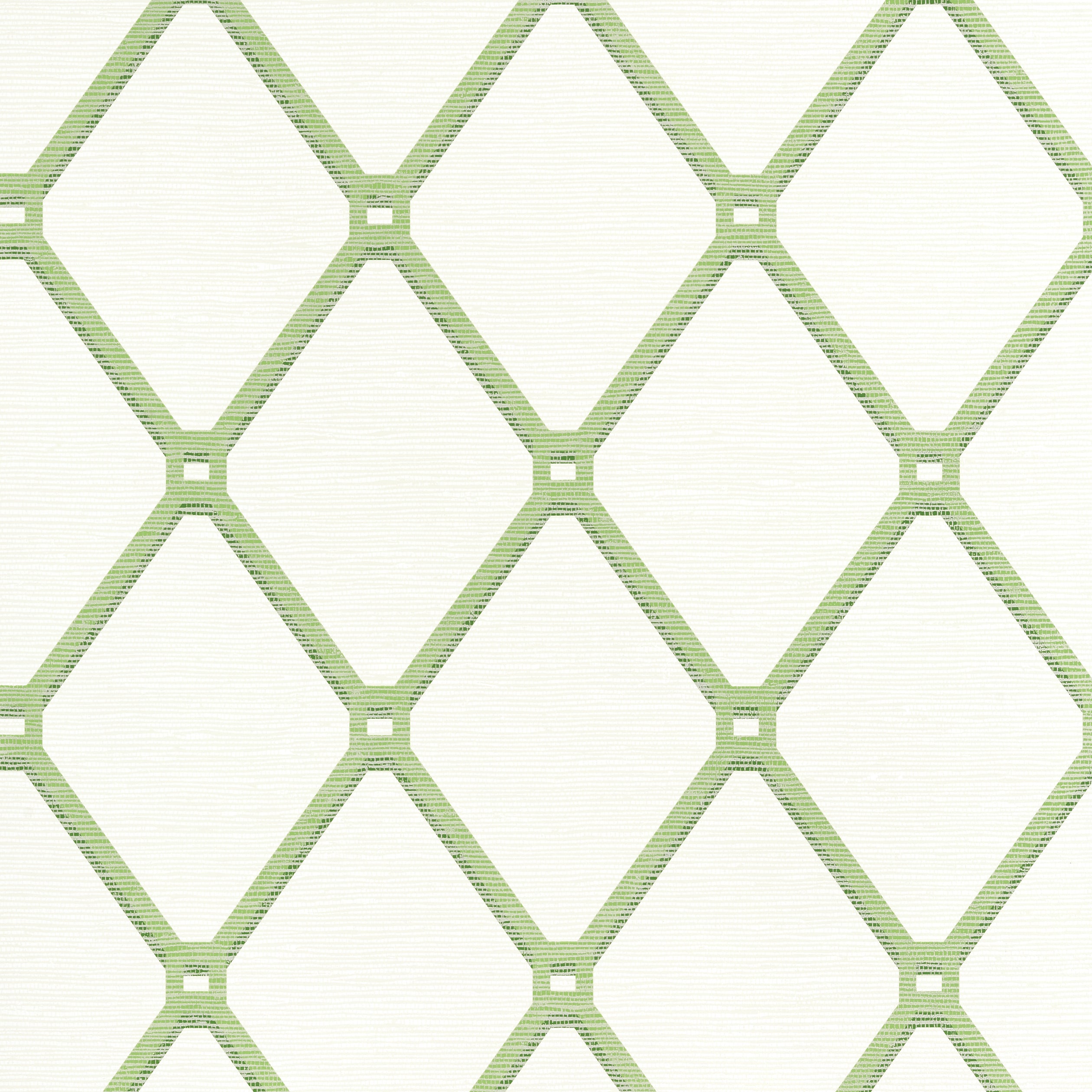 Easom Trellis Green T4051 Wallpaper by Thibaut - Wallpapers To Go